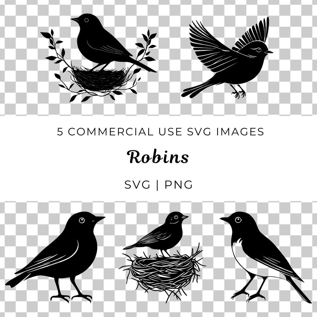 Robin Svg, Robin Vector, Winter Bird Svg, Christmas Bird Vector ...