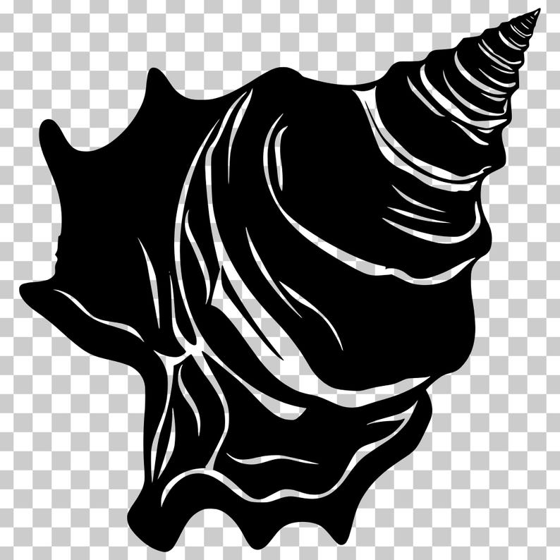 Seashells Svg, Ocean Shells Vector, Beach Shell Svg, Marine Life Vector ...