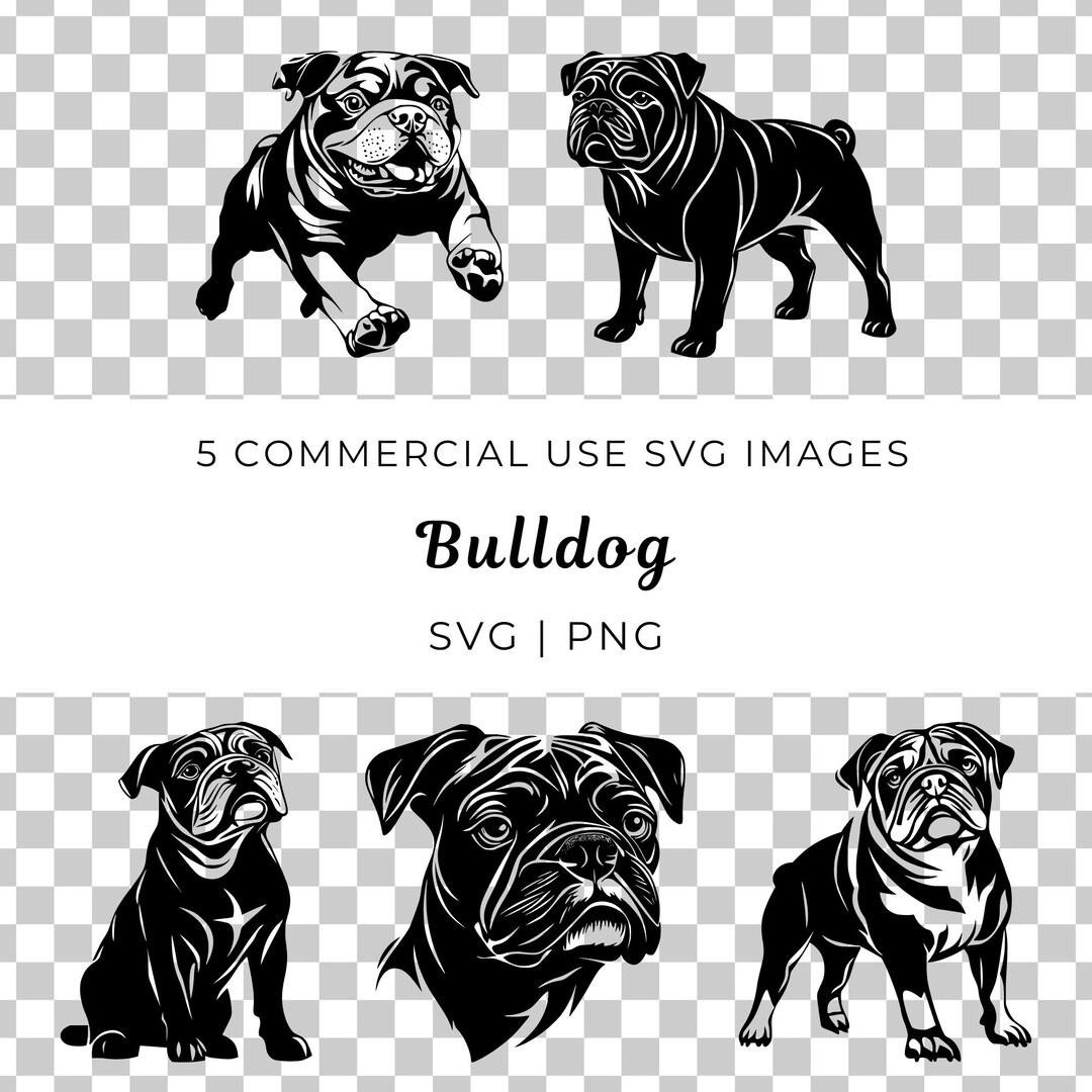 Bulldog Svg, English Bulldog Vector, Dog Breed Vector, Pet Lover Vector ...