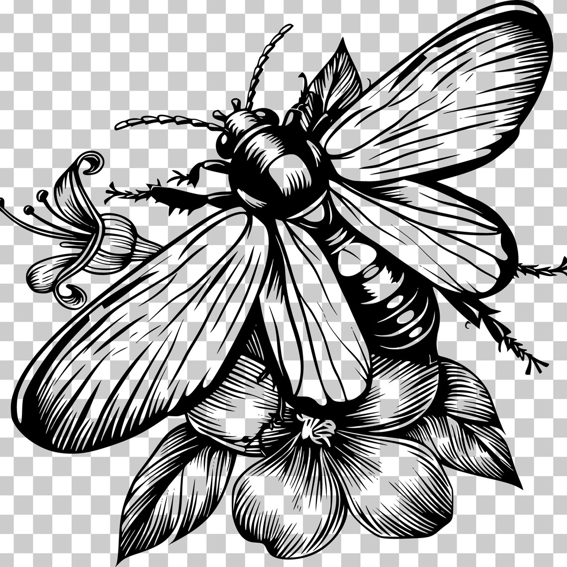 Insects Svgs, Bug PNG Images, Nature Themed Clipart, Insect Themed ...