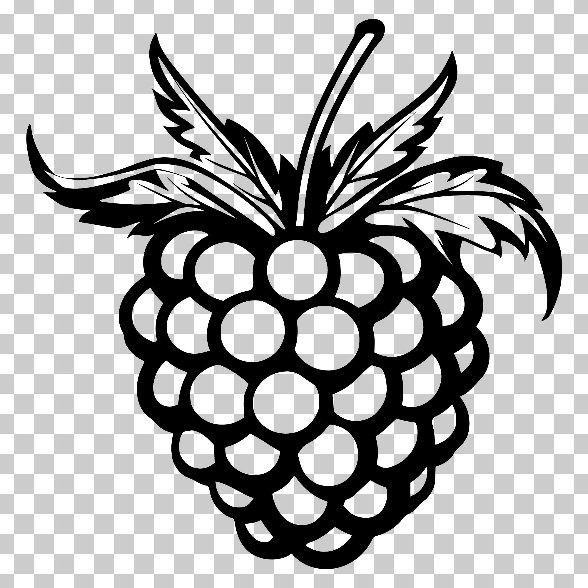 Rasberry Svg File Berry Svg, Tropical Fruit Svg, Raspberries Png ...