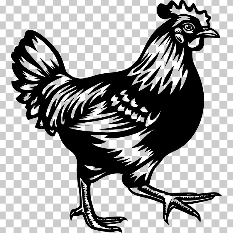 Chicken Svg, Farm House Svg, Chicken Png, Farm Animals Svg, Bird Svg ...