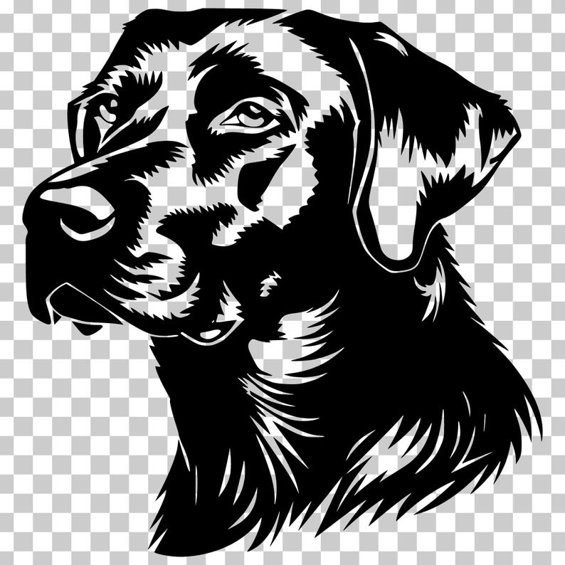 Black Lab Svg, Labrador Svg, Dog Clipart, Lab Retriever Png, Commercial ...