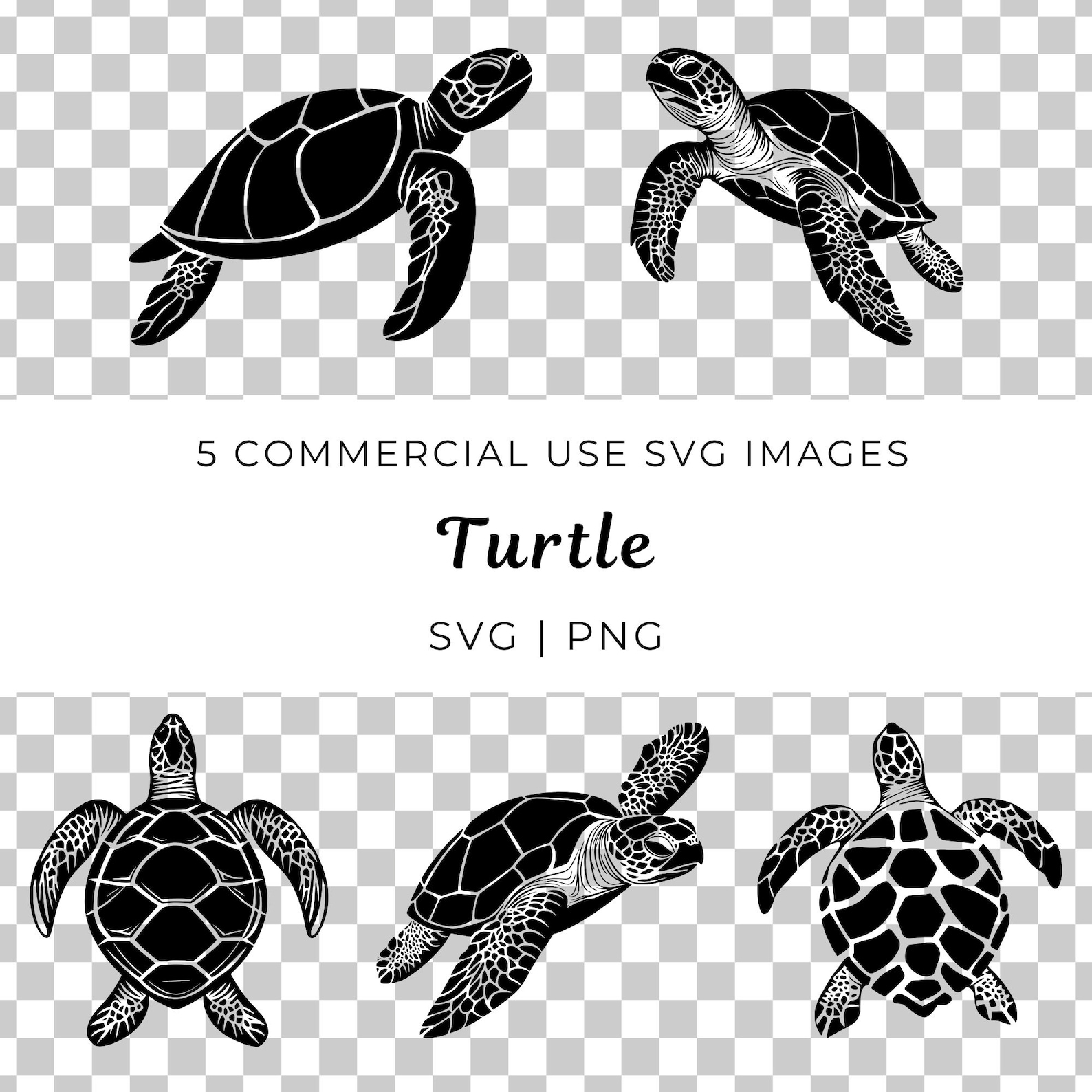 Turtle Svg, Sea Turtle Vector, Marine Life Svg, Ocean Turtle Svg, Cute ...