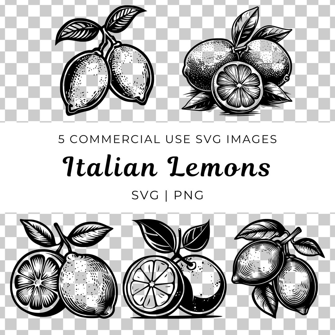 Italian Lemons Svgs, Retro Lemon PNG Images, Fruit Themed Clipart ...