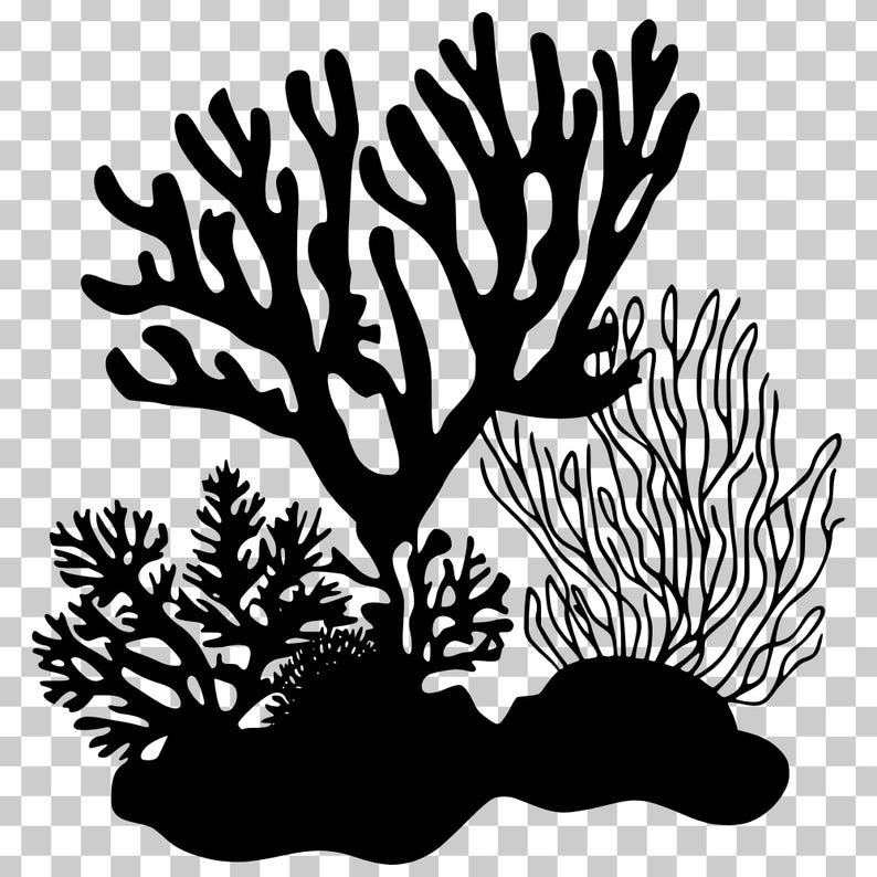 Coral Reef Svg, Ocean Life Vector, Marine Life Svg, Underwater Scene ...