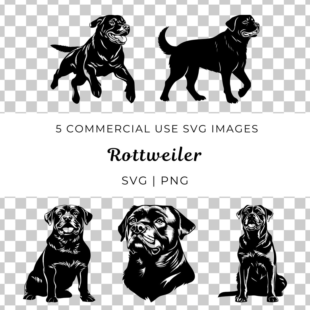 Rottweiler Dog Svg, Rottweiler Dog Vector, Large Breed Vector ...