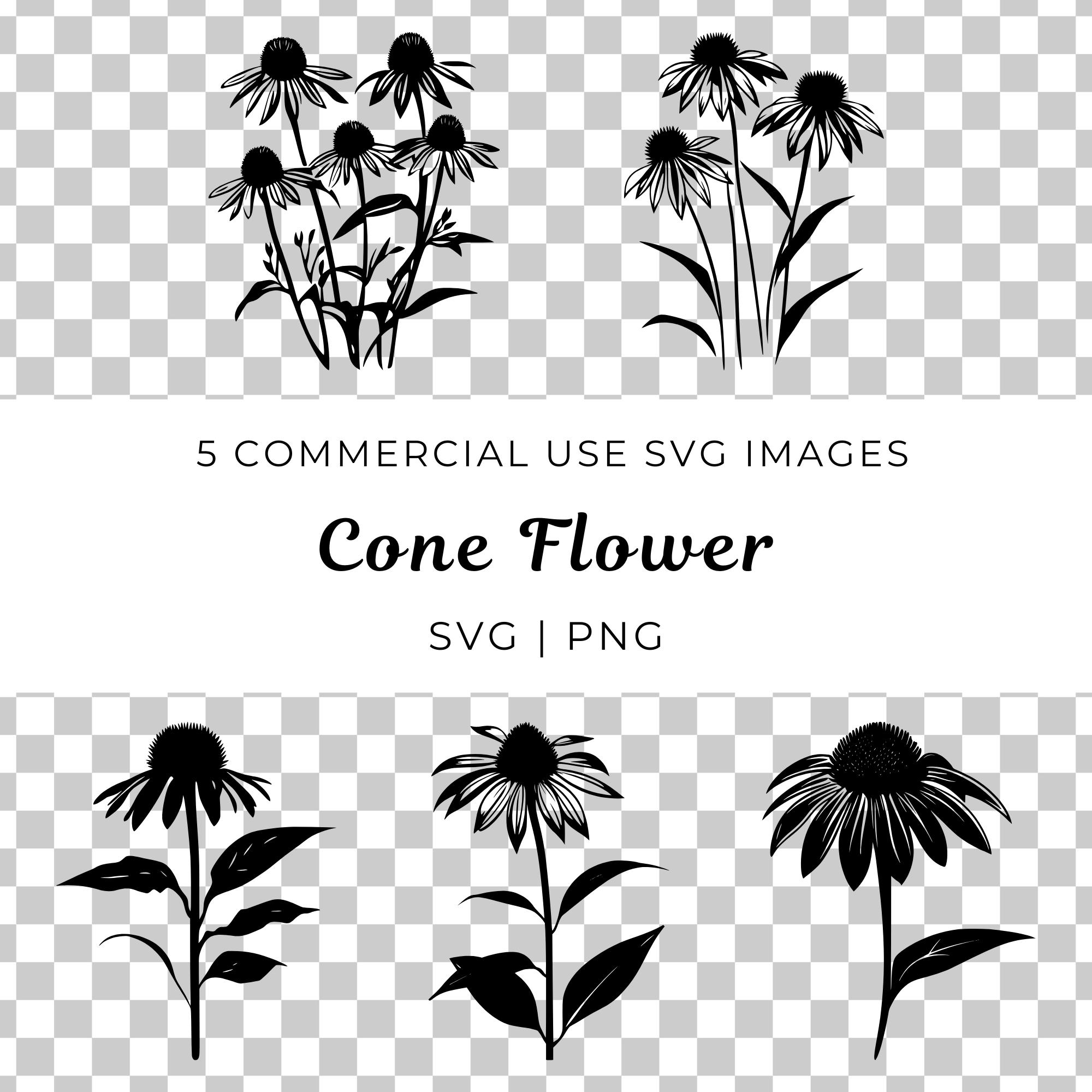 Coneflower Svg, Echinacea Flower Vector, Echinacea Blossom Vector ...