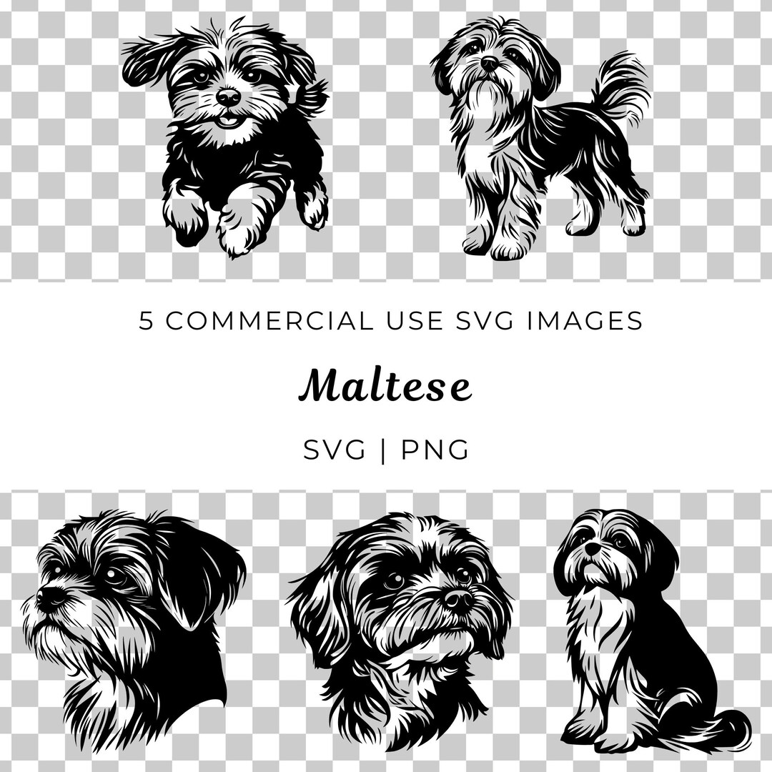 Maltese Dog Svg, Maltese Dog Vector, Cute Maltese Svg, Fluffy Maltese ...