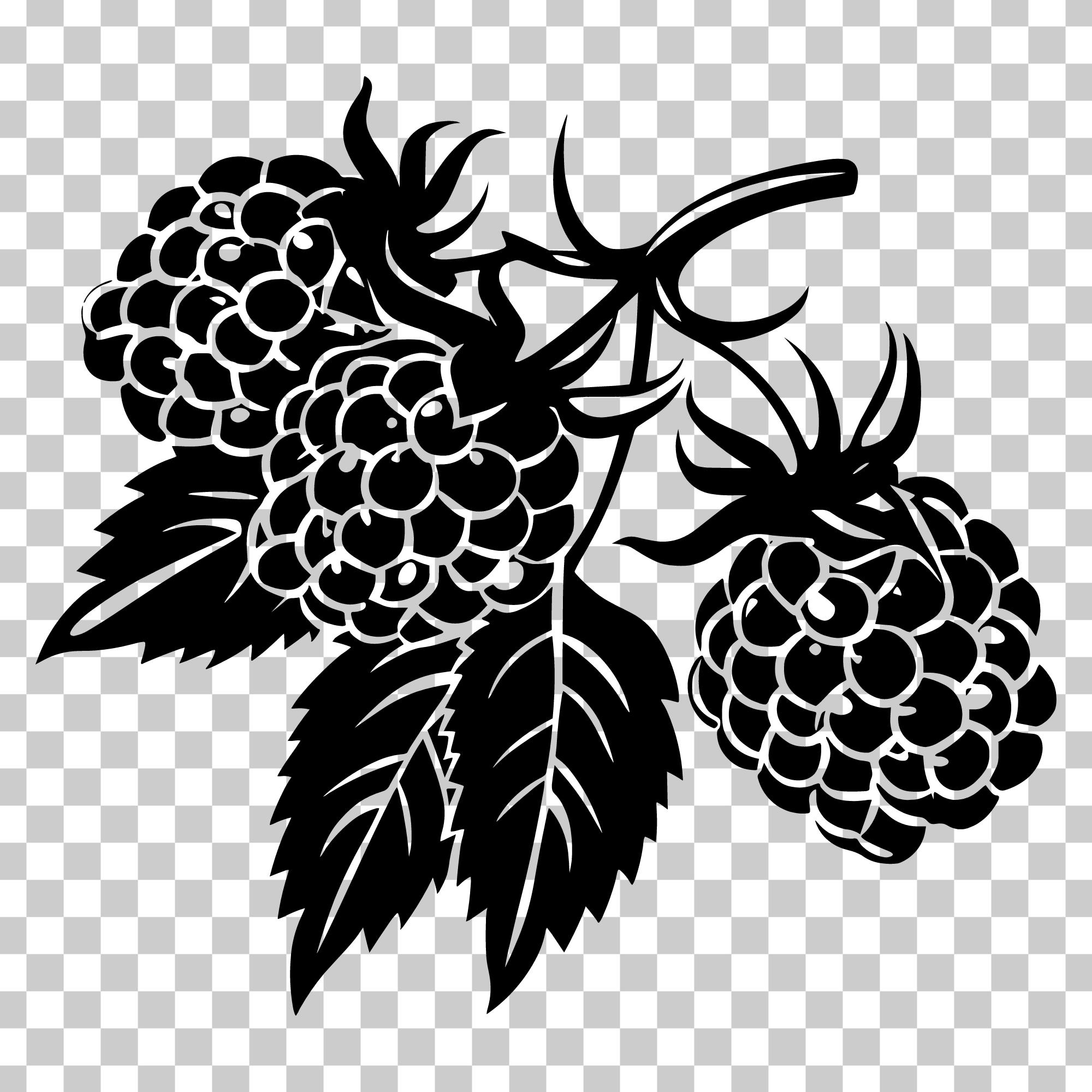 Rasberry Svg File Berry Svg, Tropical Fruit Svg, Raspberries Png ...