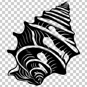 Seashells Svg, Ocean Shells Vector, Beach Shell Svg, Marine Life Vector ...