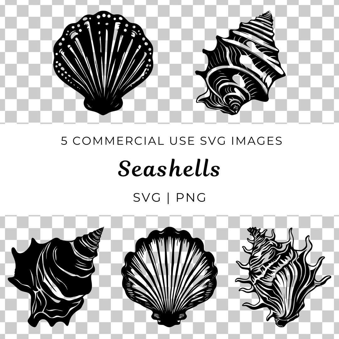 Seashells Svg, Ocean Shells Vector, Beach Shell Svg, Marine Life Vector ...
