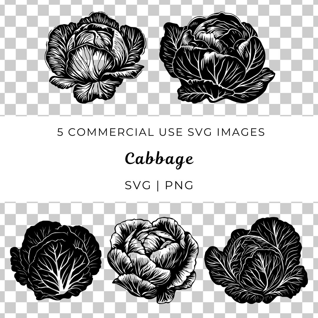 Cabbage Svg, Vintage Botanical Garden Produce Png, Vegetable Engraving ...