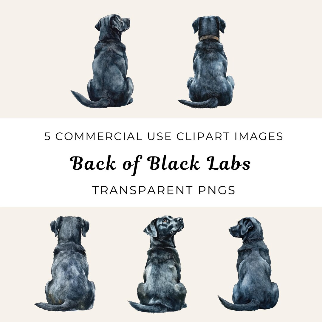 Back of Black Lab Png, Watercolor Black Labs Clipart, Black Labrador ...
