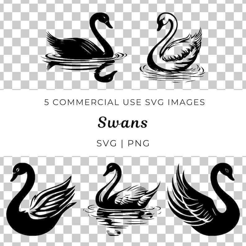 Swan Vector, Elegant Swan Svg, Graceful Swan Vector, Majestic Swan Svg ...