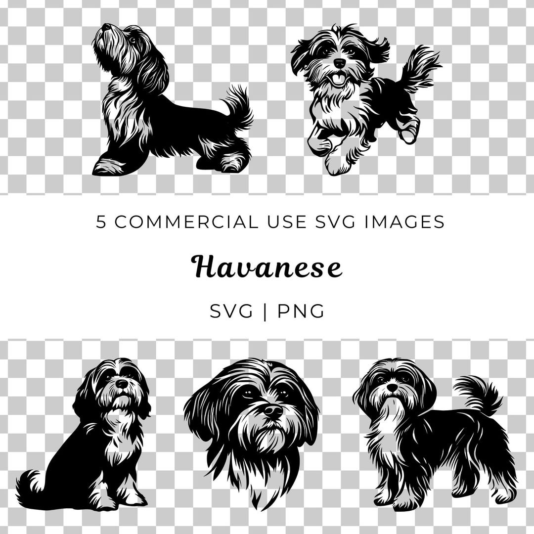 Havanese Dog SVG, PNG Clipart, Fluffy Puppy Vector (digital Download ...