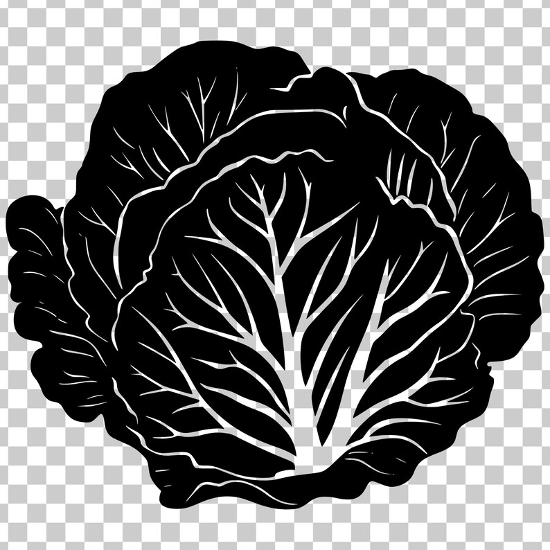 Cabbage Svg, Vintage Botanical Garden Produce Png, Vegetable Engraving ...