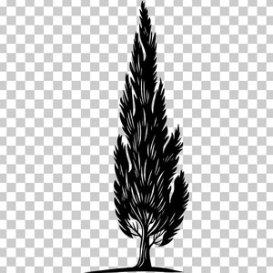 Cypress Tree Svg Vector | Mediterranean Tree Png | Instant Download ...