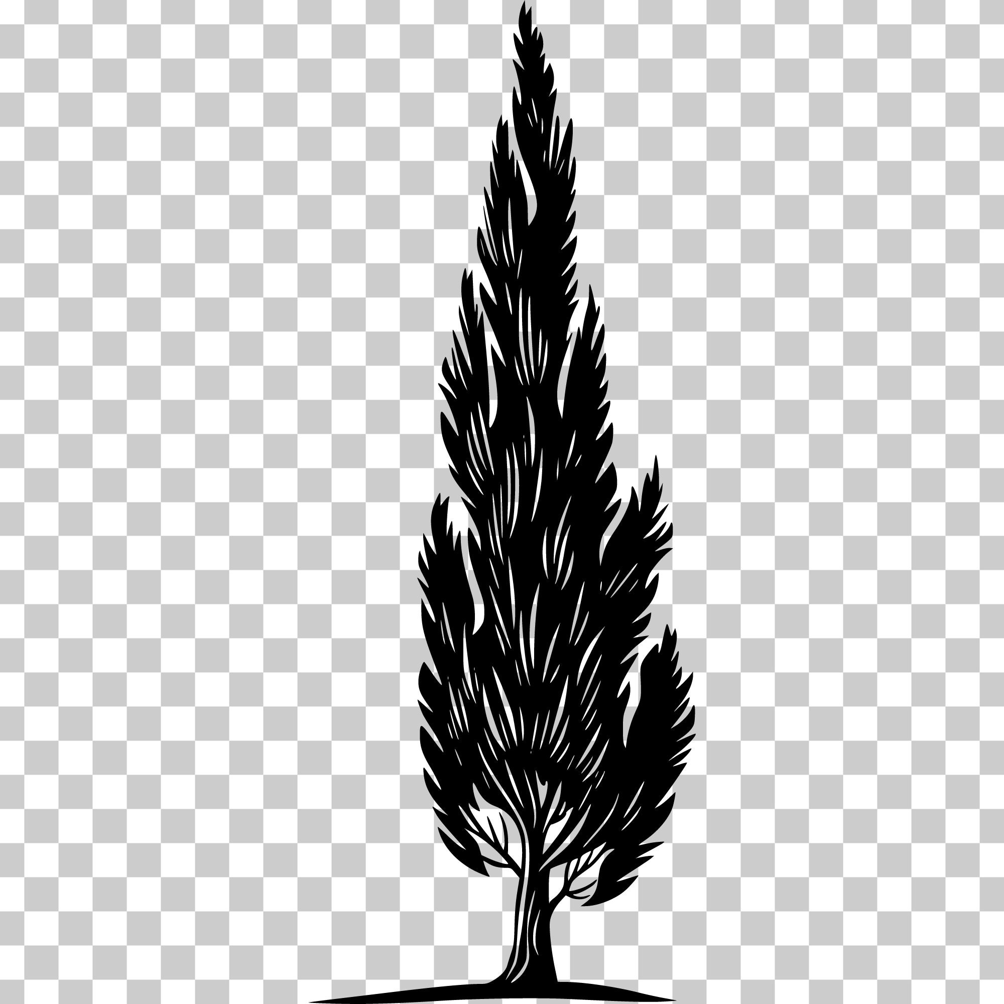 Cypress Tree Svg Vector | Mediterranean Tree Png | Instant Download ...