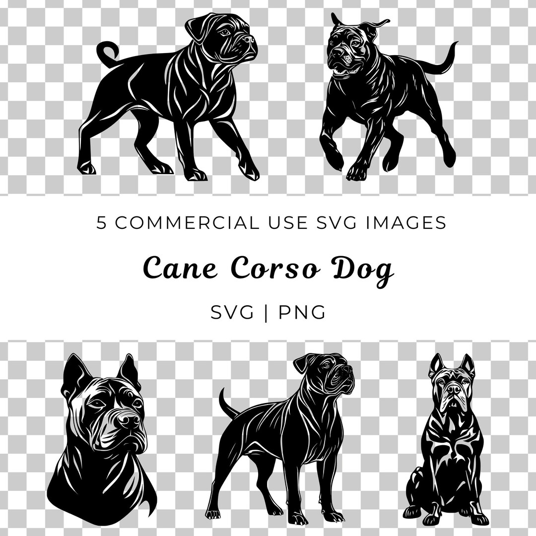 Cane Corso Dog Vector, Dog Breed Svg, Cane Corso Svg, Guard Dog Svg ...
