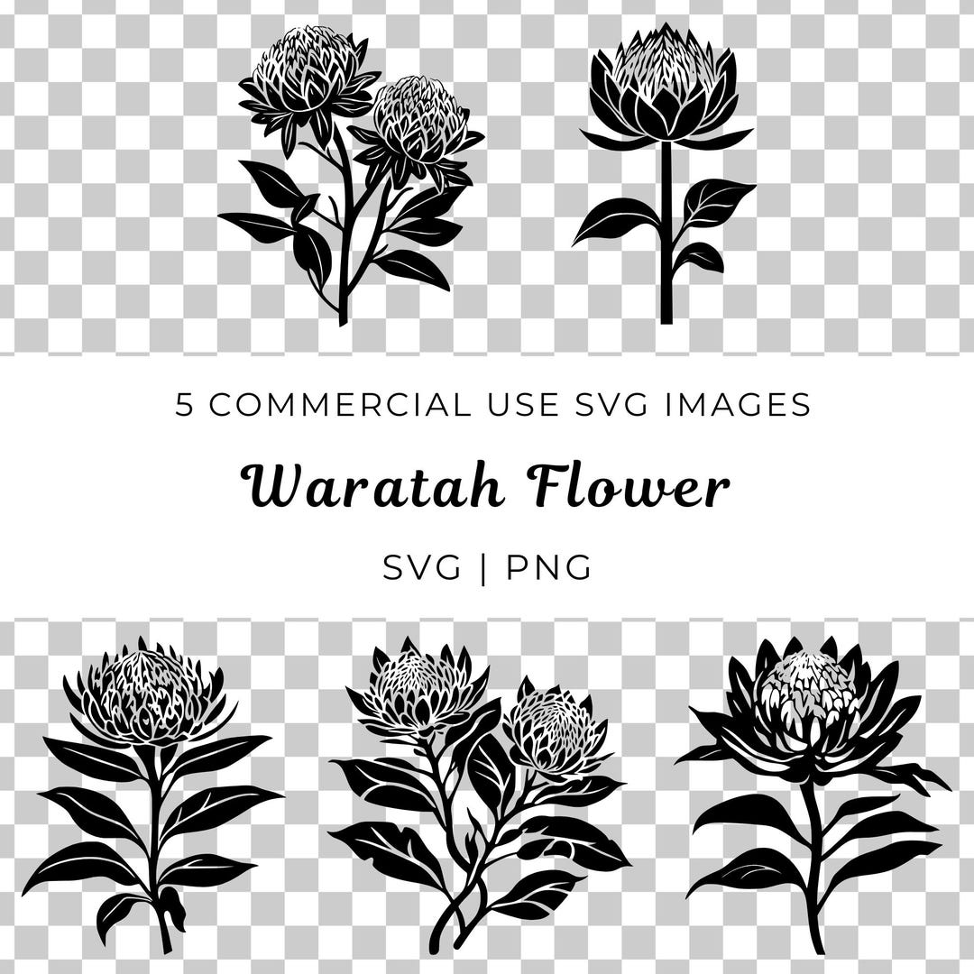 Waratah Flower Svg, Australian Native Flower Svg, Botanical Waratah Svg ...