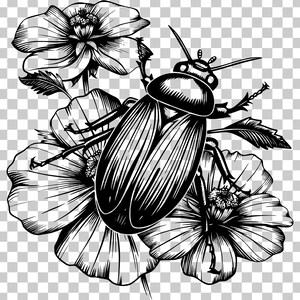 Insects Svgs, Bug PNG Images, Nature Themed Clipart, Insect Themed ...