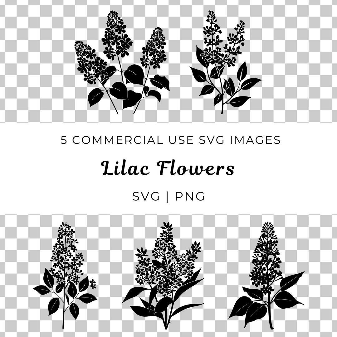 Lilac Flower Svg, Floral Lilac Svg, Botanical Lilac Svg, Elegant Floral ...