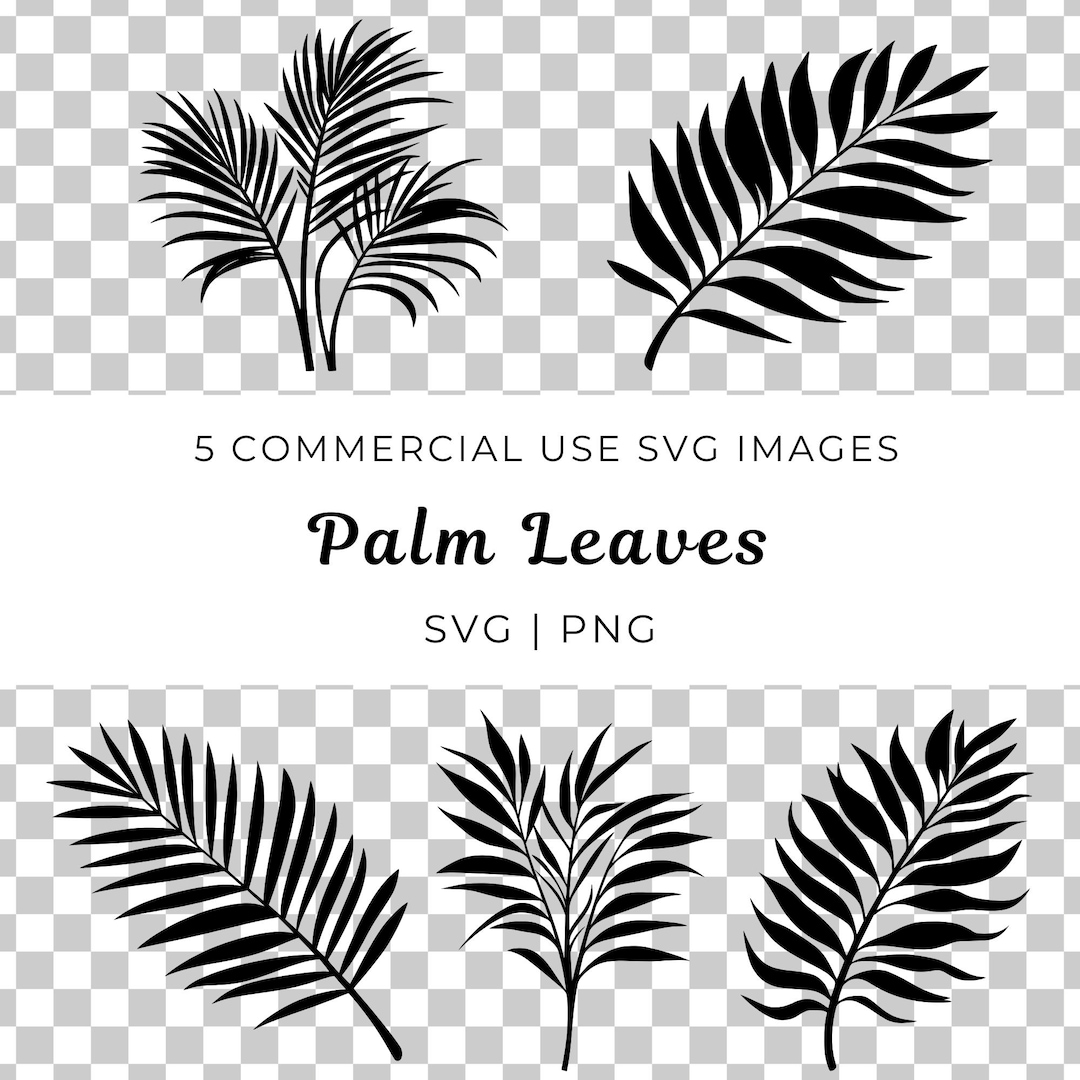 Palm Leaves Vector, Tropical Leaves Svg, Exotic Leaf Vector, Jungle ...