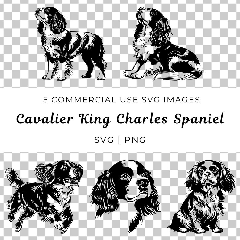 Cavalier King Charles Spaniel SVG, PNG Clipart (digital Download ...