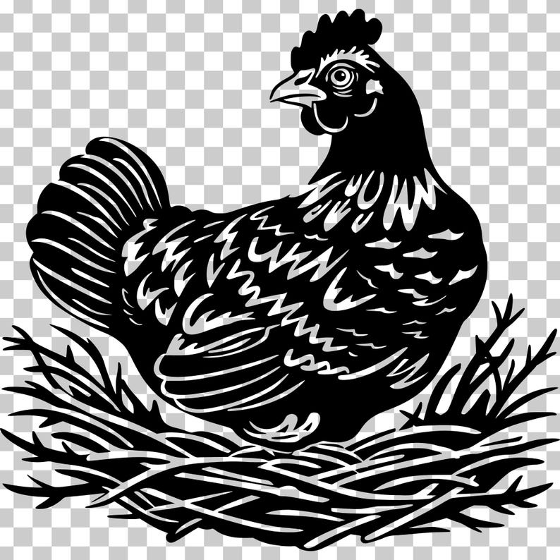 Chicken Svg, Farm House Svg, Chicken Png, Farm Animals Svg, Bird Svg ...