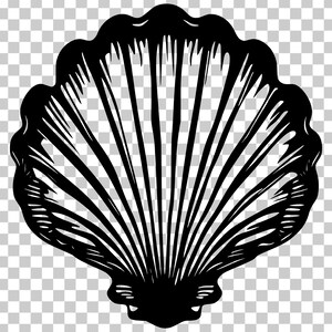 Seashells Svg, Ocean Shells Vector, Beach Shell Svg, Marine Life Vector ...