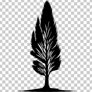 Cypress Tree Svg Vector | Mediterranean Tree Png | Instant Download ...