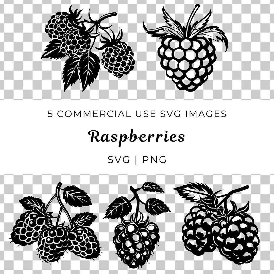 Rasberry Svg File Berry Svg, Tropical Fruit Svg, Raspberries Png ...