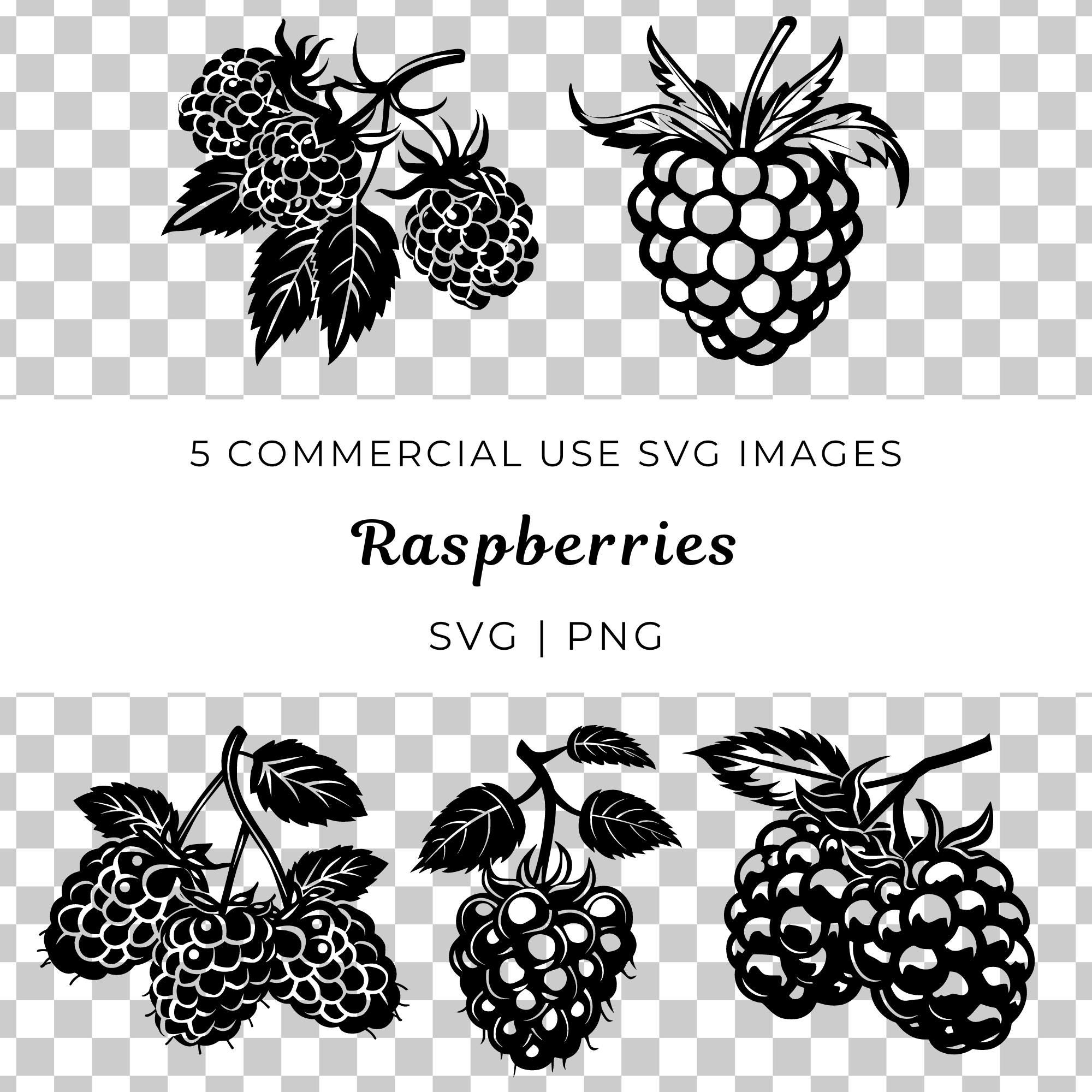 Rasberry Svg File Berry Svg, Tropical Fruit Svg, Raspberries Png ...