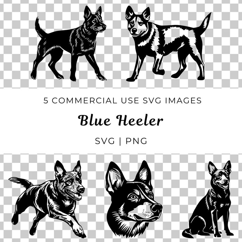 Blue Heeler Svg, Australian Cattle Dog Svg, Herding Dog Svg, Cattle Dog ...