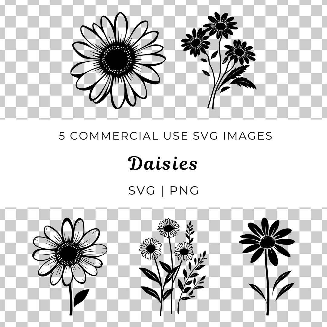 Daisy Flower Vector, Daisy Clipart Svg, Floral Daisy Svg, Summer Daisy ...