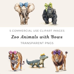 Zoo Animals With Bows Clipart, Coquette Bow Png, Cute Zoo Animals ...