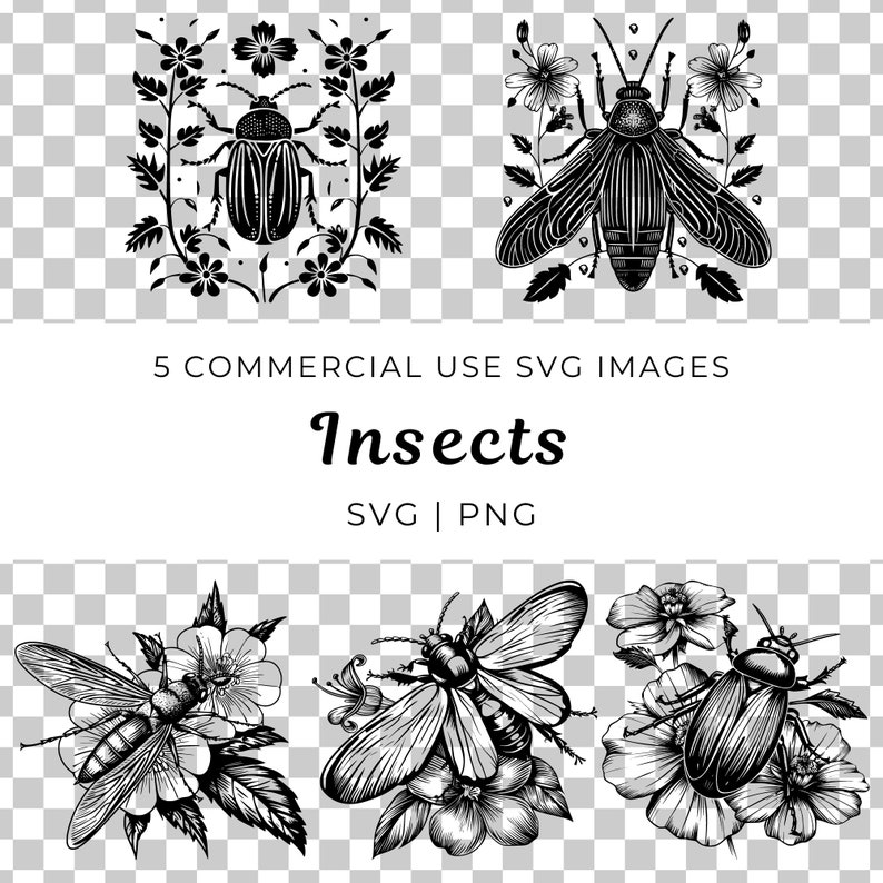 Insects Svgs, Bug PNG Images, Nature Themed Clipart, Insect Themed ...