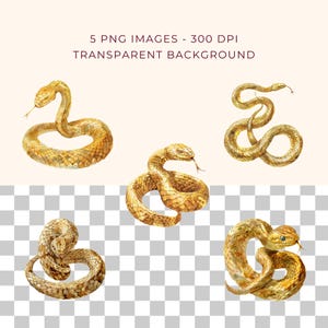 Gold Snake Png, Watercolor Snake Png, Reptile Png, Watercolor Gold ...