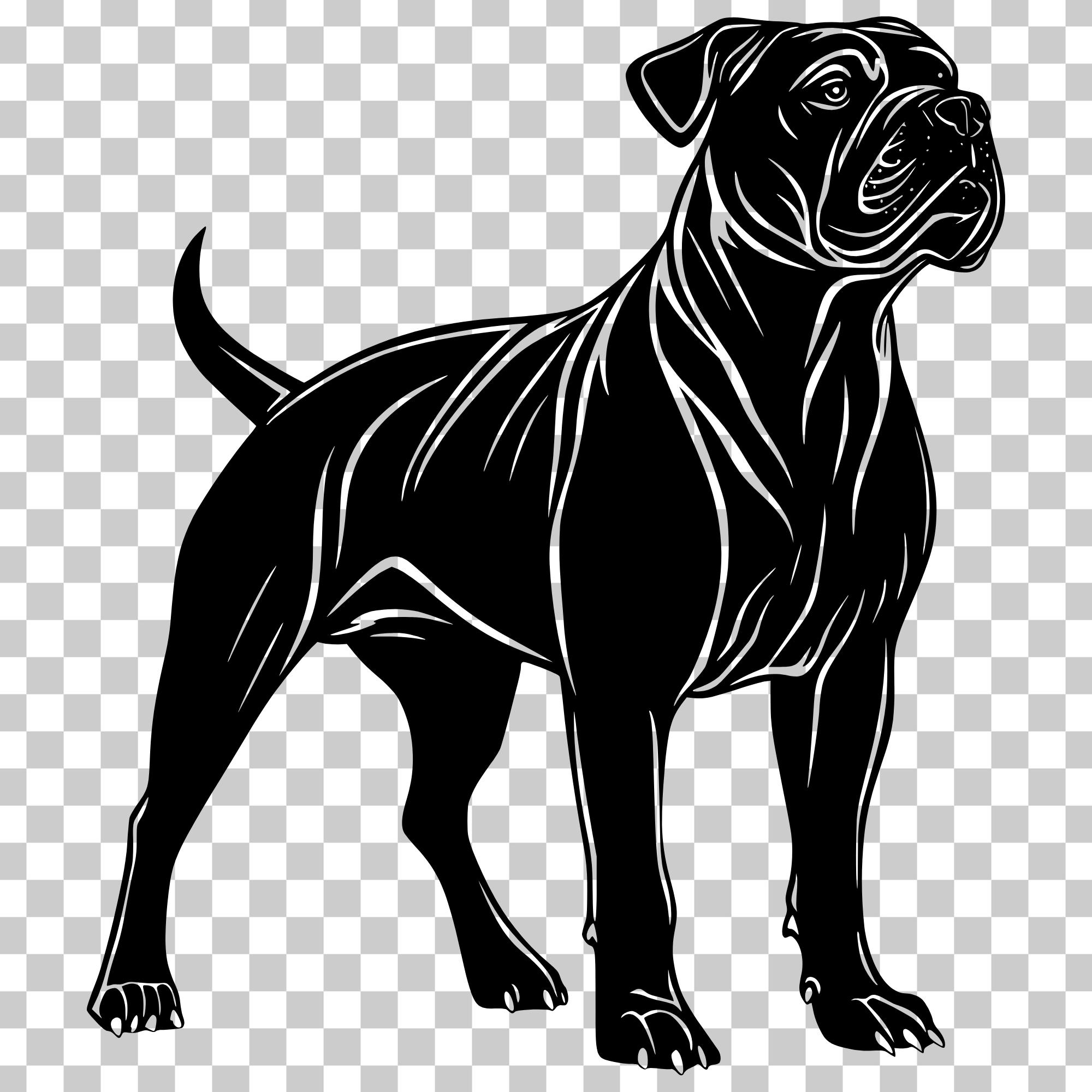 Cane Corso Dog Vector, Dog Breed Svg, Cane Corso Svg, Guard Dog Svg ...