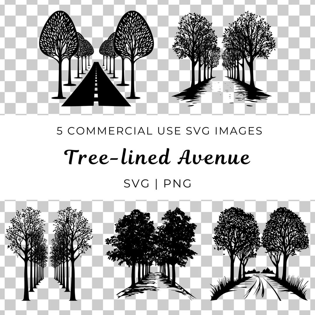 Tree Lined Pathway Svg, Forest Lane Vector, Avenue of Trees Svg ...