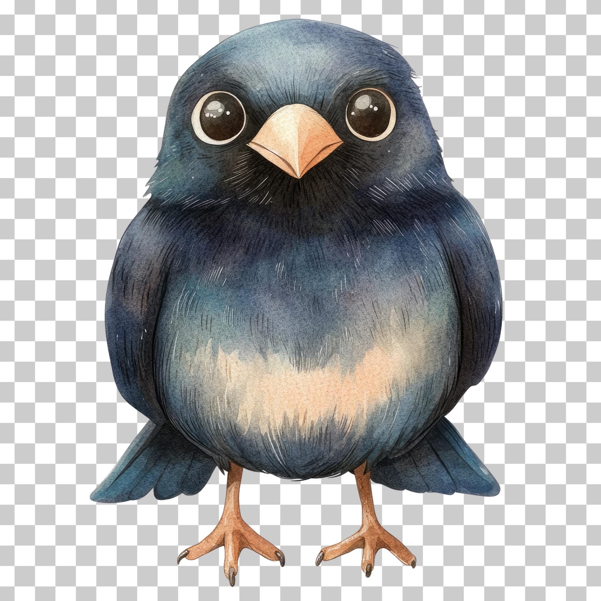 Cute Crow Png, Adorable Bird Clipart, Blackbird Png, Playful Crow ...