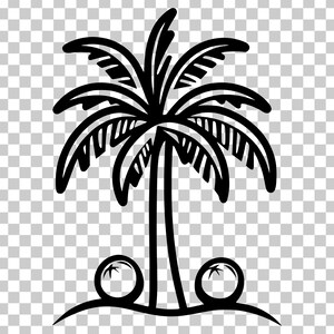Coconut Tree SVG, Tropical Palm Vector Clipart (digital Download) - Etsy