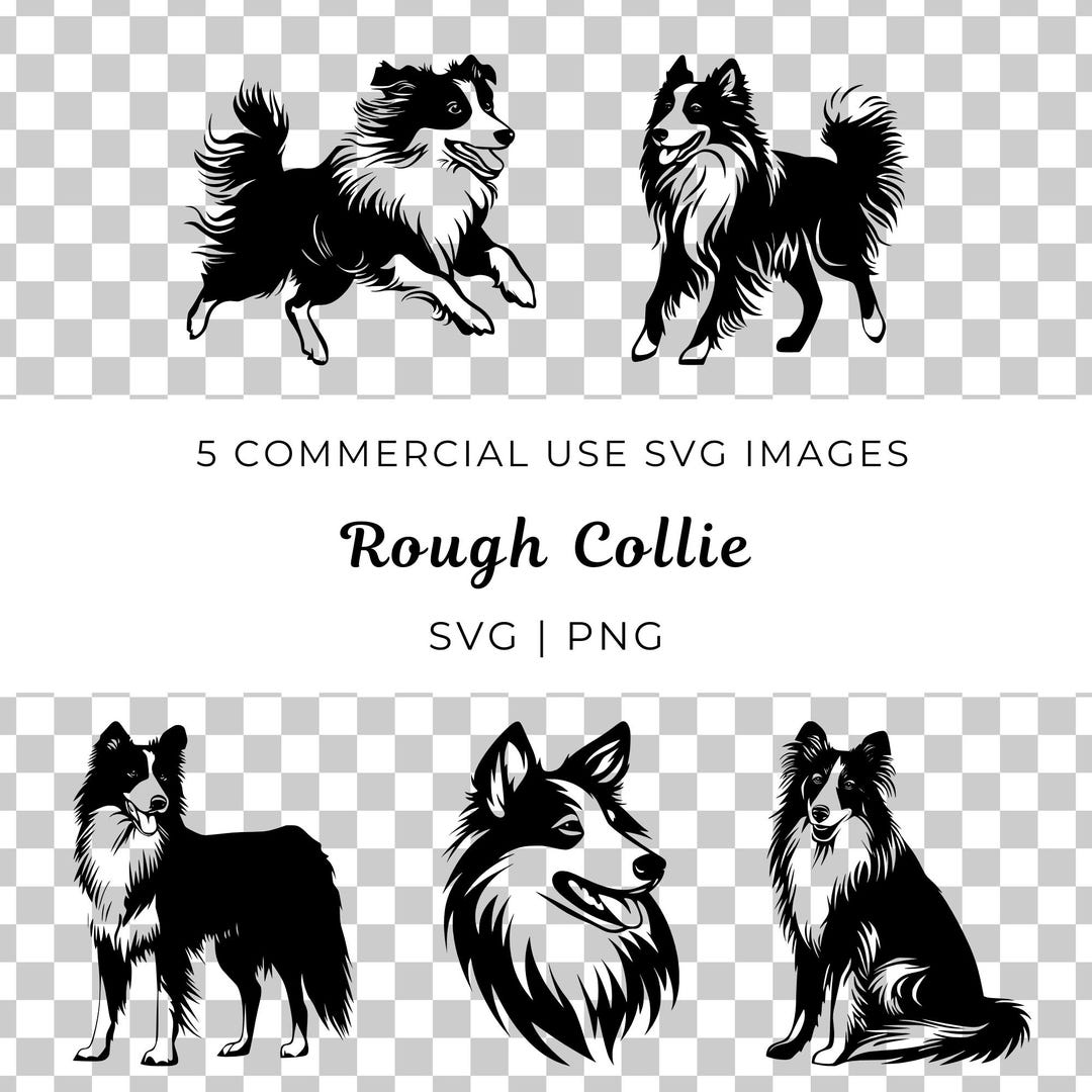 Rough Collie Svg, Collie Dog Vector, Scottish Collie Svg, Long-haired ...