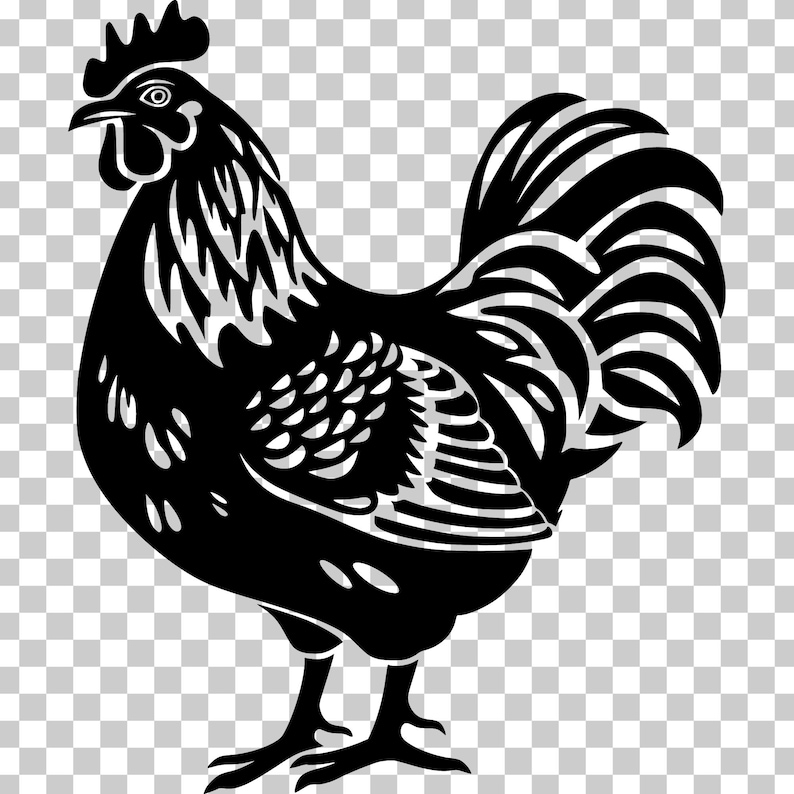 Chicken Svg, Farm House Svg, Chicken Png, Farm Animals Svg, Bird Svg ...