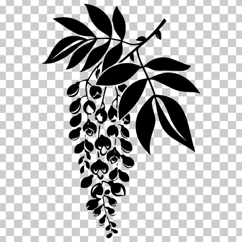 Wisteria Floral SVG, Vine Blossom Clipart (digital Download) - Etsy
