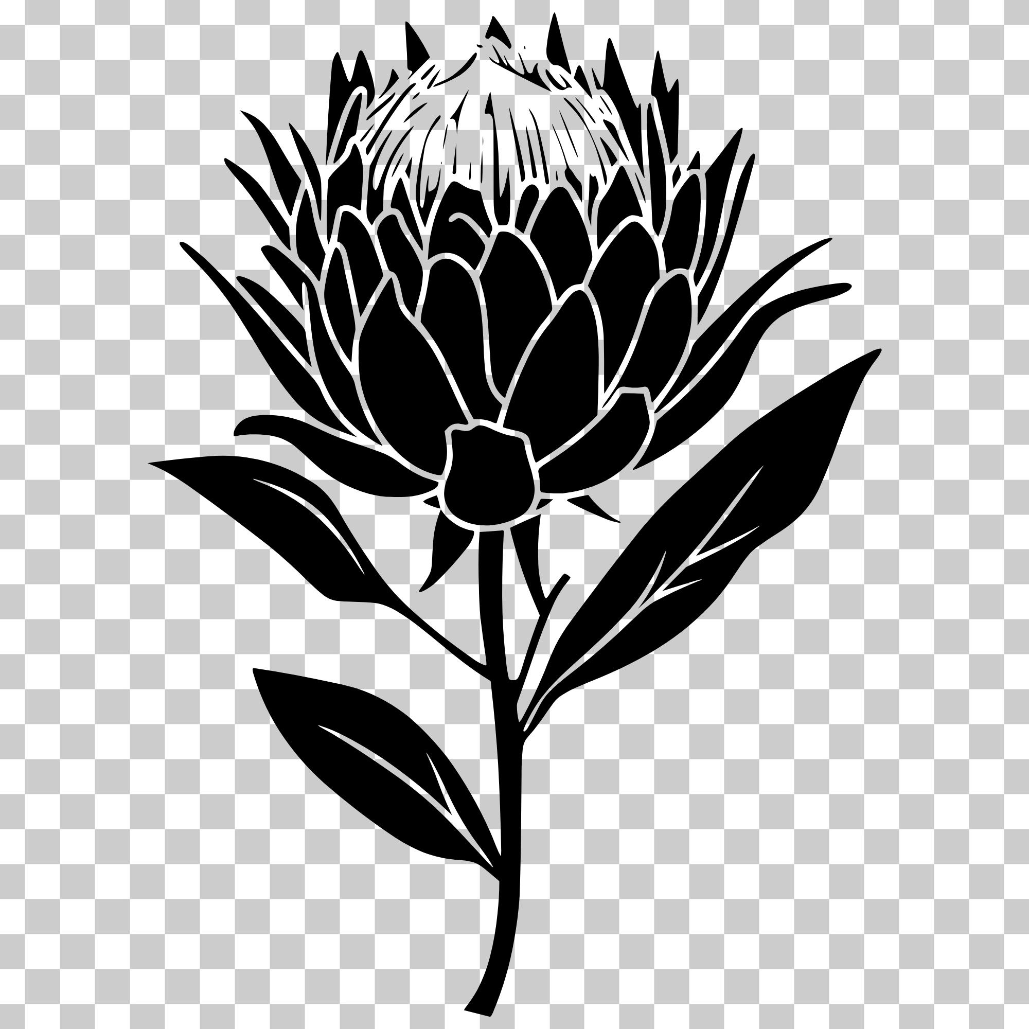 Protea Flower SVG, Botanical Vector, Tropical Floral Design (digital ...