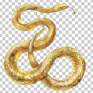 Gold Snake Png, Watercolor Snake Png, Reptile Png, Watercolor Gold ...