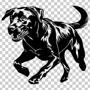 Black Lab Svg, Labrador Svg, Dog Clipart, Lab Retriever Png, Commercial ...