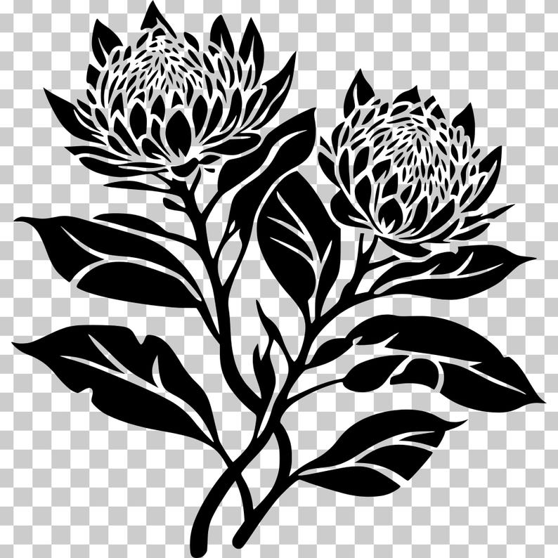 Waratah Flower Svg, Australian Native Flower Svg, Botanical Waratah Svg ...